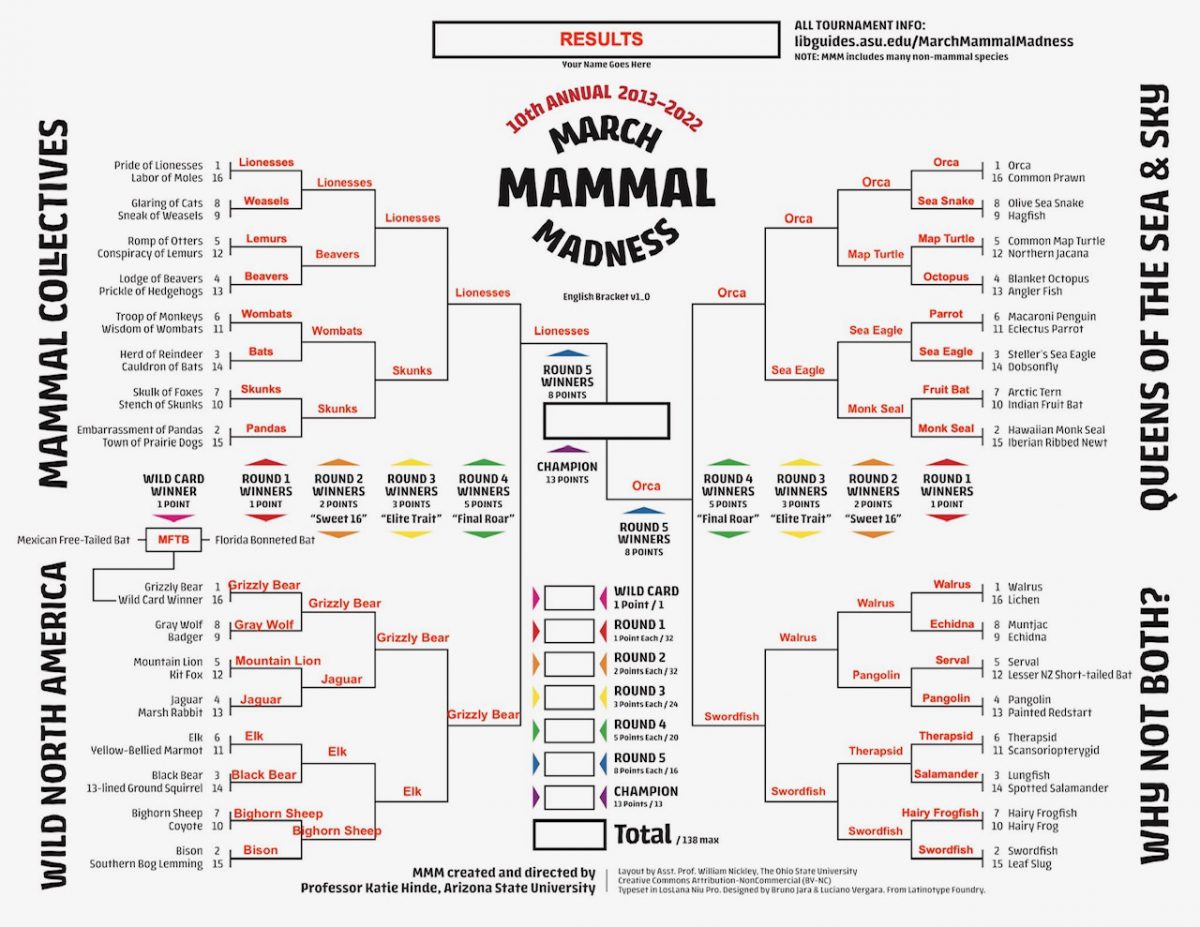 2022 March Mammal Madness Bracket Challenge results are in!! - Fonda ...